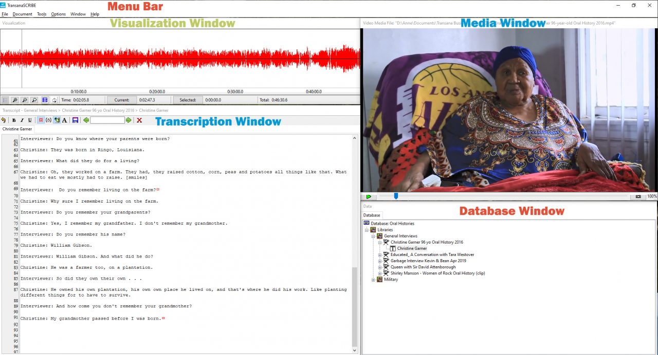 SCRIBE’s Main Screen | TransanaSCRIBE